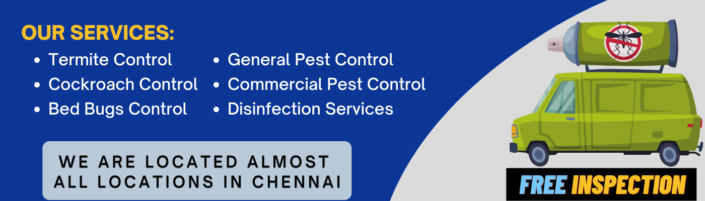 Pest Control Services in Chennai | Pest Control 24×7