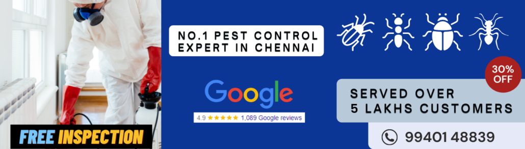 Pest Control Services in Chennai | Pest Control 24×7